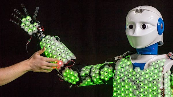 Scientists Develop Biologically-Inspired Artificial Skin for Robots ...