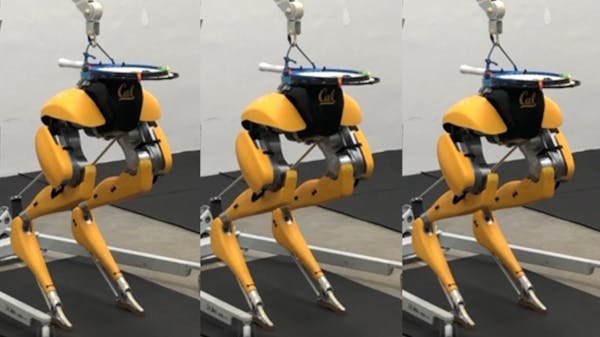 This Oddball Bipedal Robot Can Play Paddle Ball on Its Head - Hackster.io