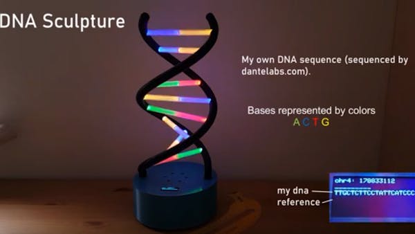 This 3D-Printed Art Piece Shows Its Creator’s Own DNA Sequence ...