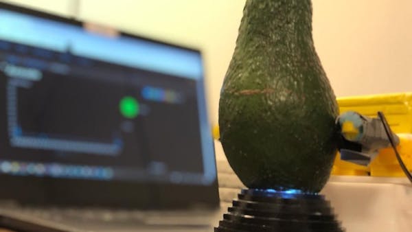 This DIY Robot Tells You When Your Avocado Is Finally Ripe - Hackster.io