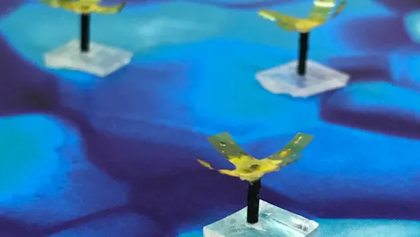 Tiny Wireless Aquatic Robots Inspired by Nature Could Clean Water Using ...