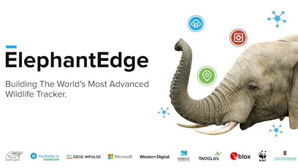 ElephantEdge: Machine Learning and Better Hardware Give Elephants Hope - Hackster.io