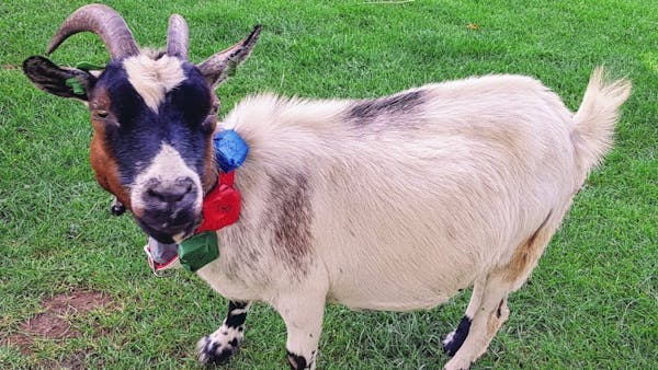 Jacob Kamminga's Thesis Details a Simple Accelerometer-Based Tracker ...