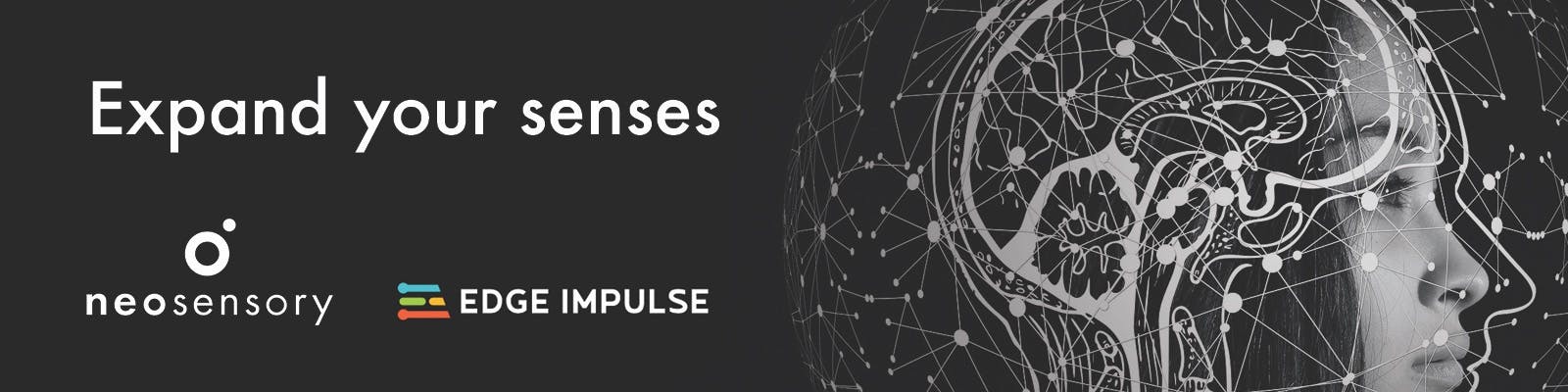 Expand your senses - Hackster.io