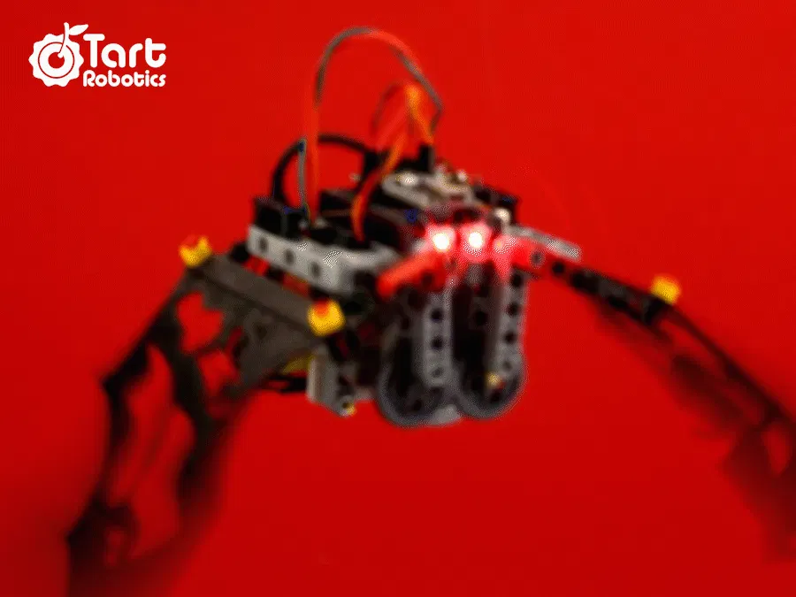 A DIY Flapping-wing Robotic Bat - Hackster.io