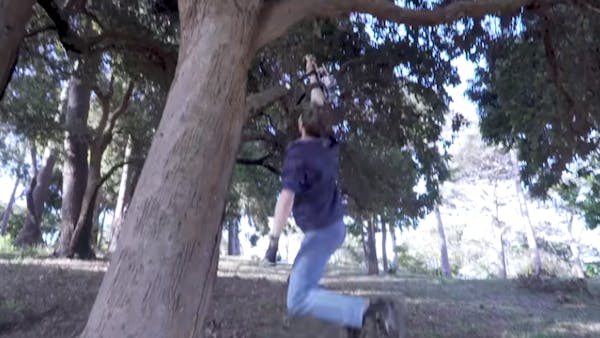 This Crazy YouTuber Built a Real-Life, Fully-Functional Motorized ...