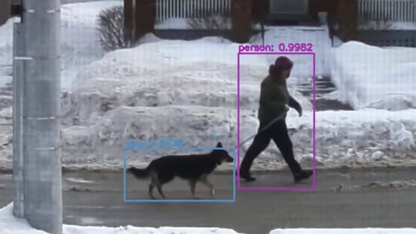 This AI Device Detects Passing Dogs and Yells Compliments at Them ...