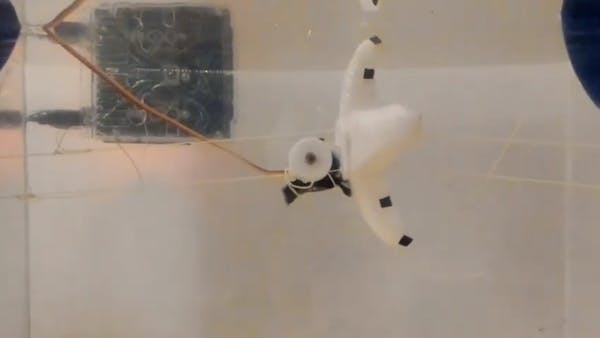 This Robotic Starfish Lets Biologists Study Marine Life - Hackster.io
