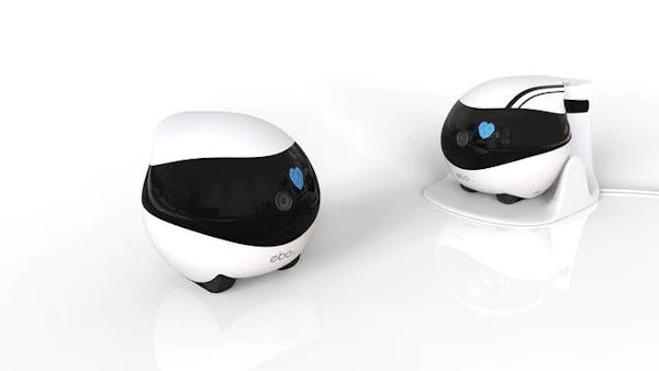 Enabot's EBO Is a Roly-Poly Companion Robot for the Home, Complete with ...
