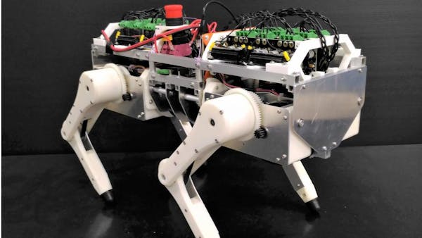 Quadruped Robots Can Reproduce the Gait of Walking Cats - Hackster.io