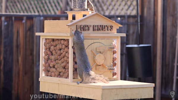 Watch Mark Rober Build (Another) Crazy Maze for Squirrels - Hackster.io