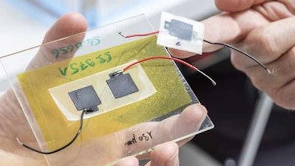 These Biodegradable Batteries Could Power Disposable Electronic Devices ...