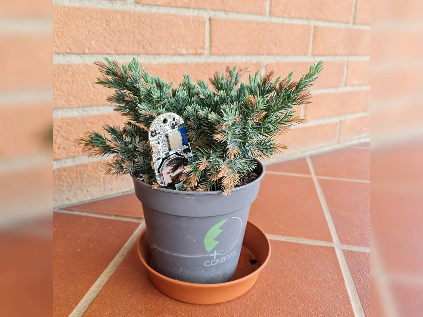 A plant that uses Telegram - Hackster.io