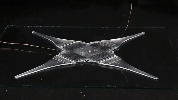 Electrohydraulic "Arachno-Bot" Showcases a New, Spider-Inspired ...