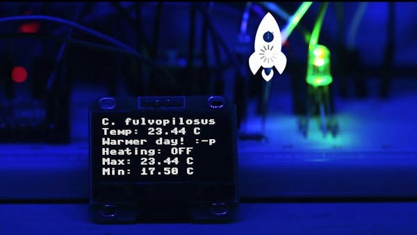 Ludwig Eksteen Turns to the Raspberry Pi Pico to Save a Colony of ...