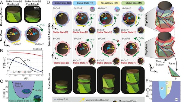 Robotic Arm Design Influenced by Octopus Tentacles and Origami ...