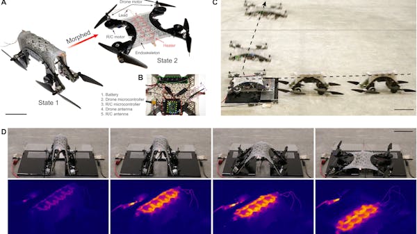 Engineers Develop Morphing Robot That Uses Liquid Metal to Change Shape ...