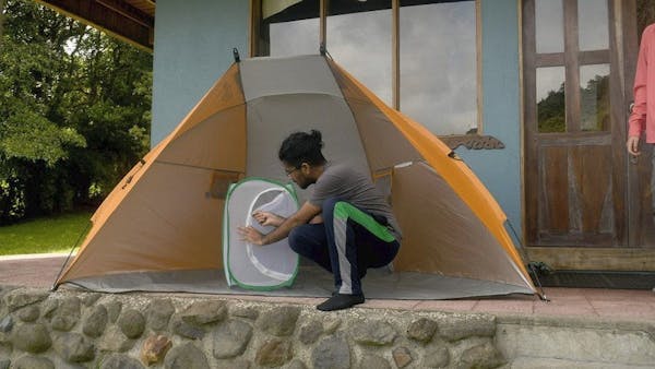 A Raspberry Pi-Powered Insect Tracker Provides New Insight Into Daytime ...