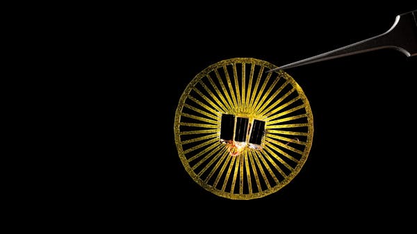 These Tiny Airborne Sensors Float in the Wind Like Dandelion Seeds ...