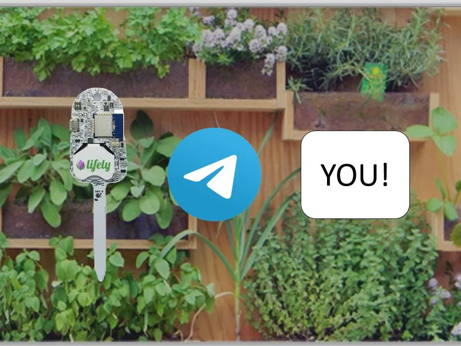 Check and water your plants using Agrumino and Telegram! - Hackster.io