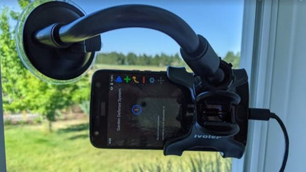 What Are You, Chicken? - Hackster.io