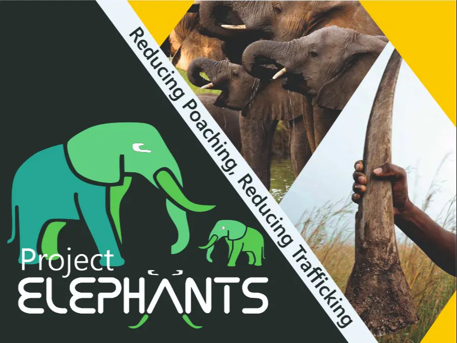 Project ELEPHANTS - Hackster.io