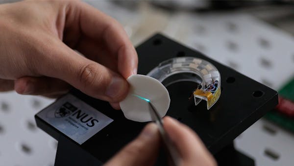 Bite Me - Hackster.io