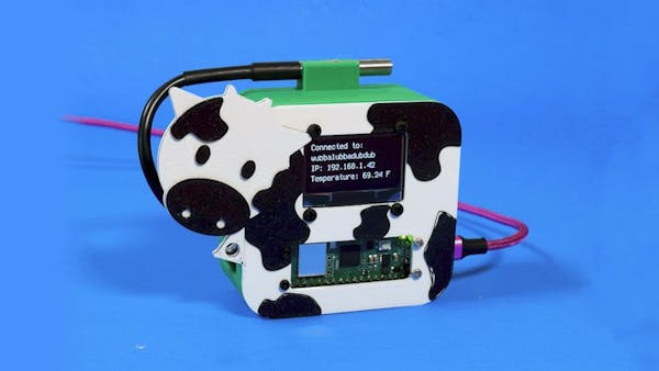 Liz Clark Kattni Rembor Celebrate The Raspberry Pi Picos Circuitpython Port With A Cow Web 