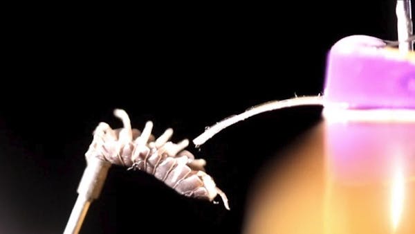 Remote-Control Haptic "Microfingers" Tickle Pillbugs in the Name of ...