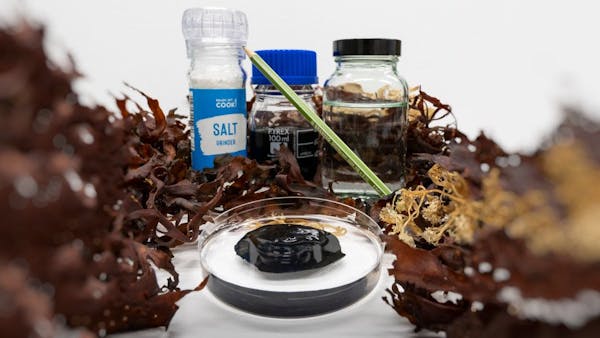 TV Cookery Inspires Scientists to Create Edible Electronics Based on a ...