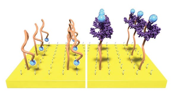 "Plastic Transistors" Prove Promising for Signal-Boosting Biochemical ...