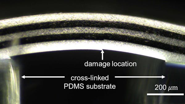 Researchers Build the Most Human-Like "Electronic Skin" Yet, Capable of ...