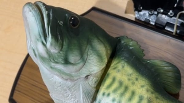 Arti-fish-al Intelligence - Hackster.io