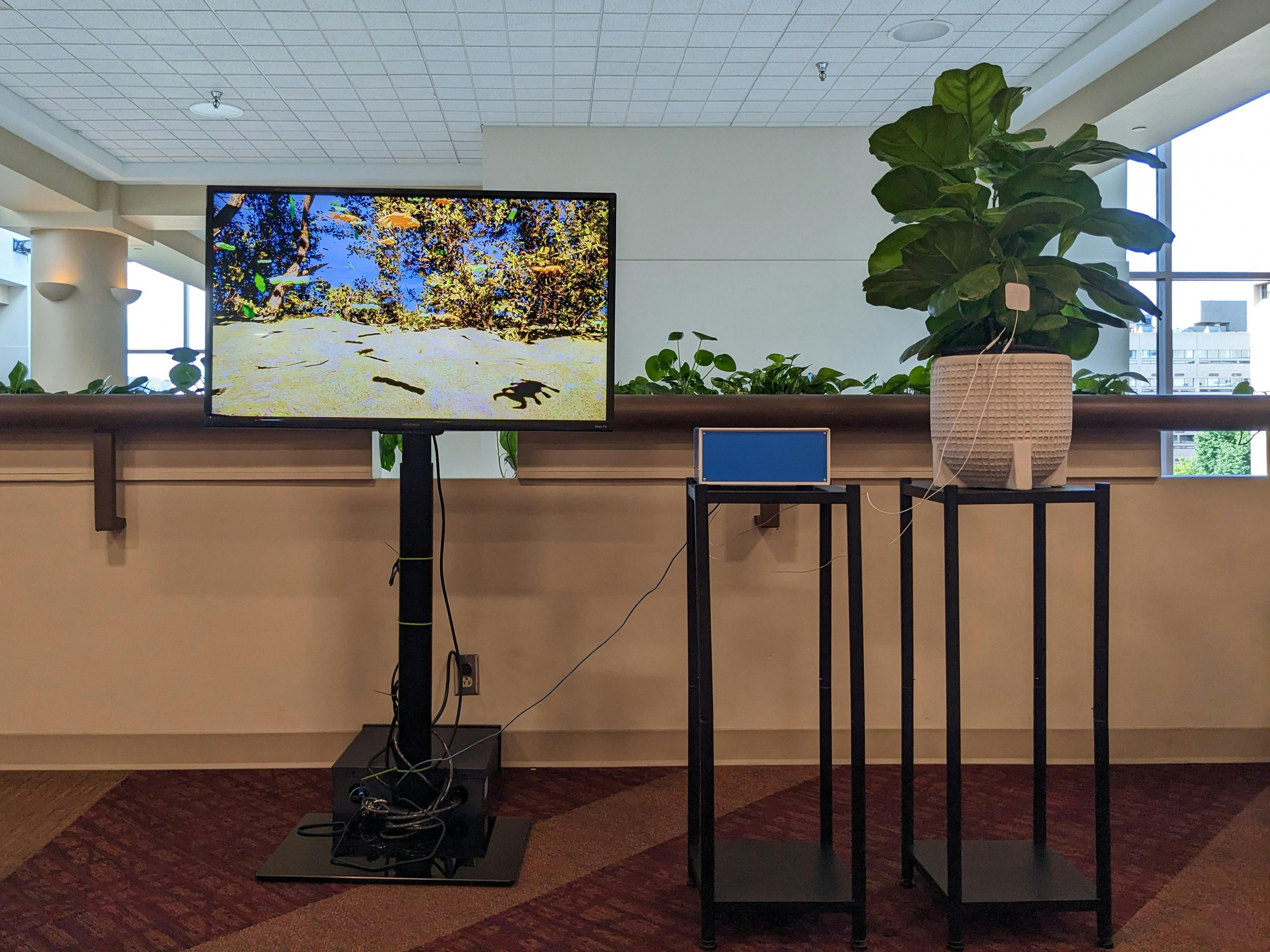 Epiphyte - Hackster.io