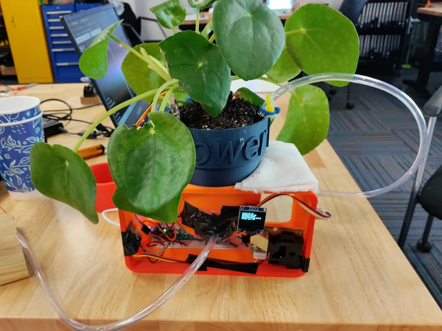Planty - Hackster.io