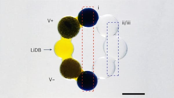 This Miniature Hydrogel-Based Battery for Medical Implants Is Soft ...