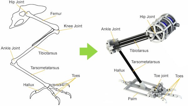 This Crow-Inspired Energy-Efficient Robo-Bird Drone Design Has Legs ...