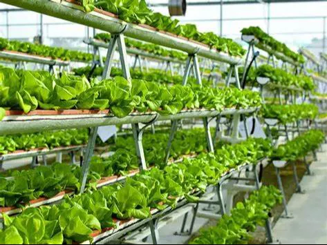 Automatic System for Urban Farming - Hackster.io