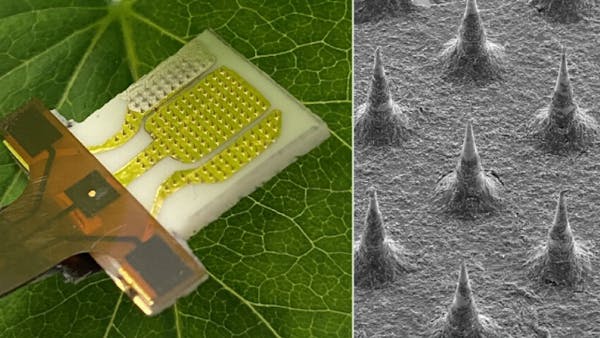 Researchers Develop a Low-Cost, Reusable, Quick-Sensing Stress Monitor ...