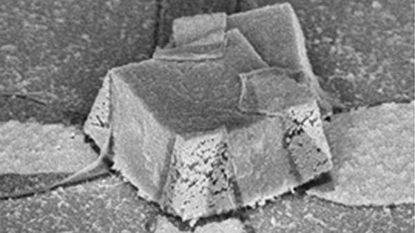 Self-Assembling Origami-Like DNA Scaffolding Could Deliver High ...