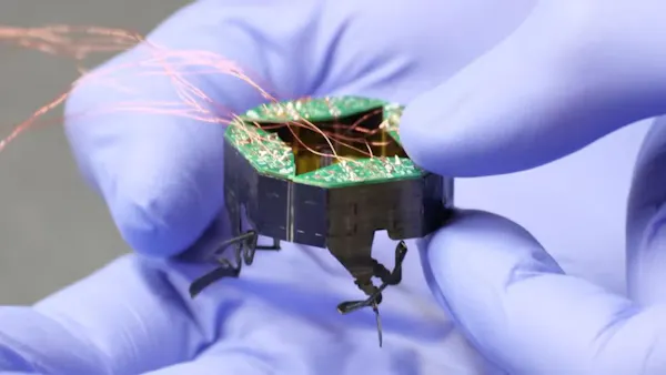Insect-Inspired "Squishable" Robot Gets the Funding It Needs to Become ...