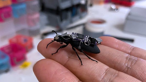 Dara anjelika onlyfans discover how.