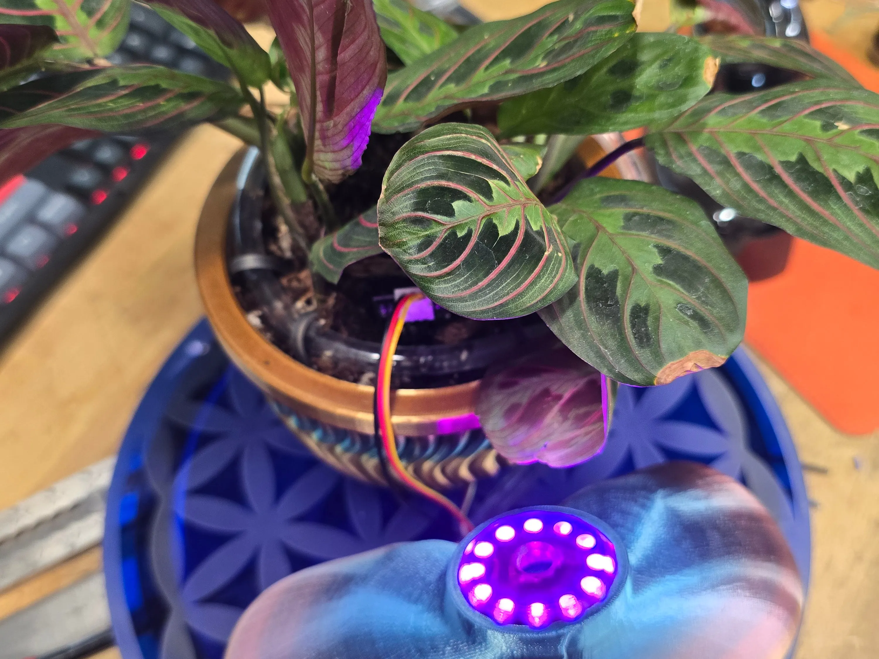 Wah_Ter_Mee - Hackster.io