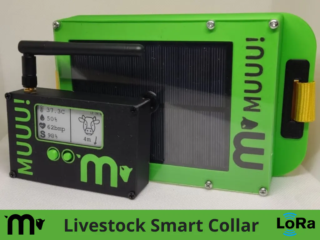 MUUU!: Livestock smart collar 🐮 - Hackster.io