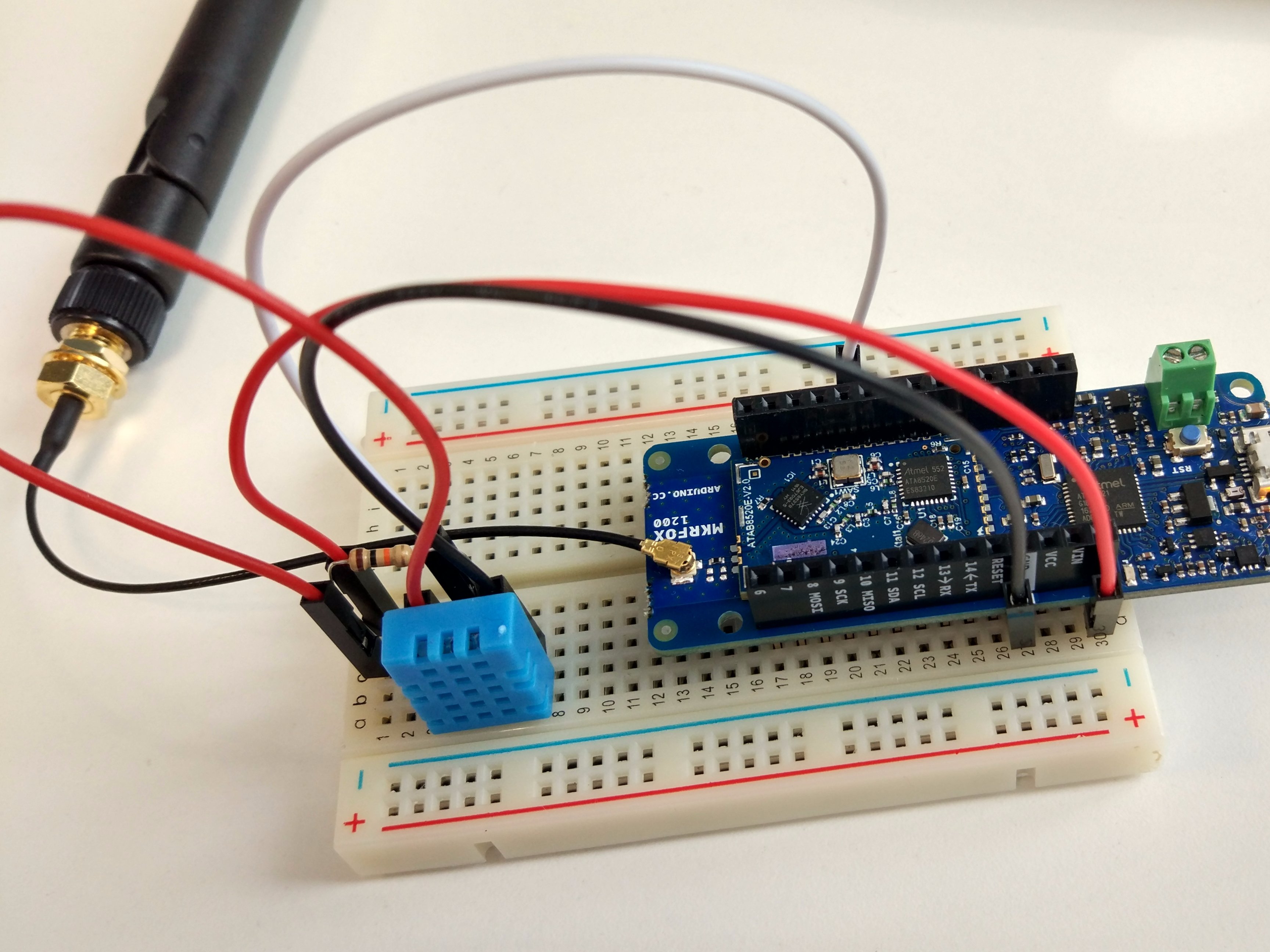 Arduino mkr 1200 fox