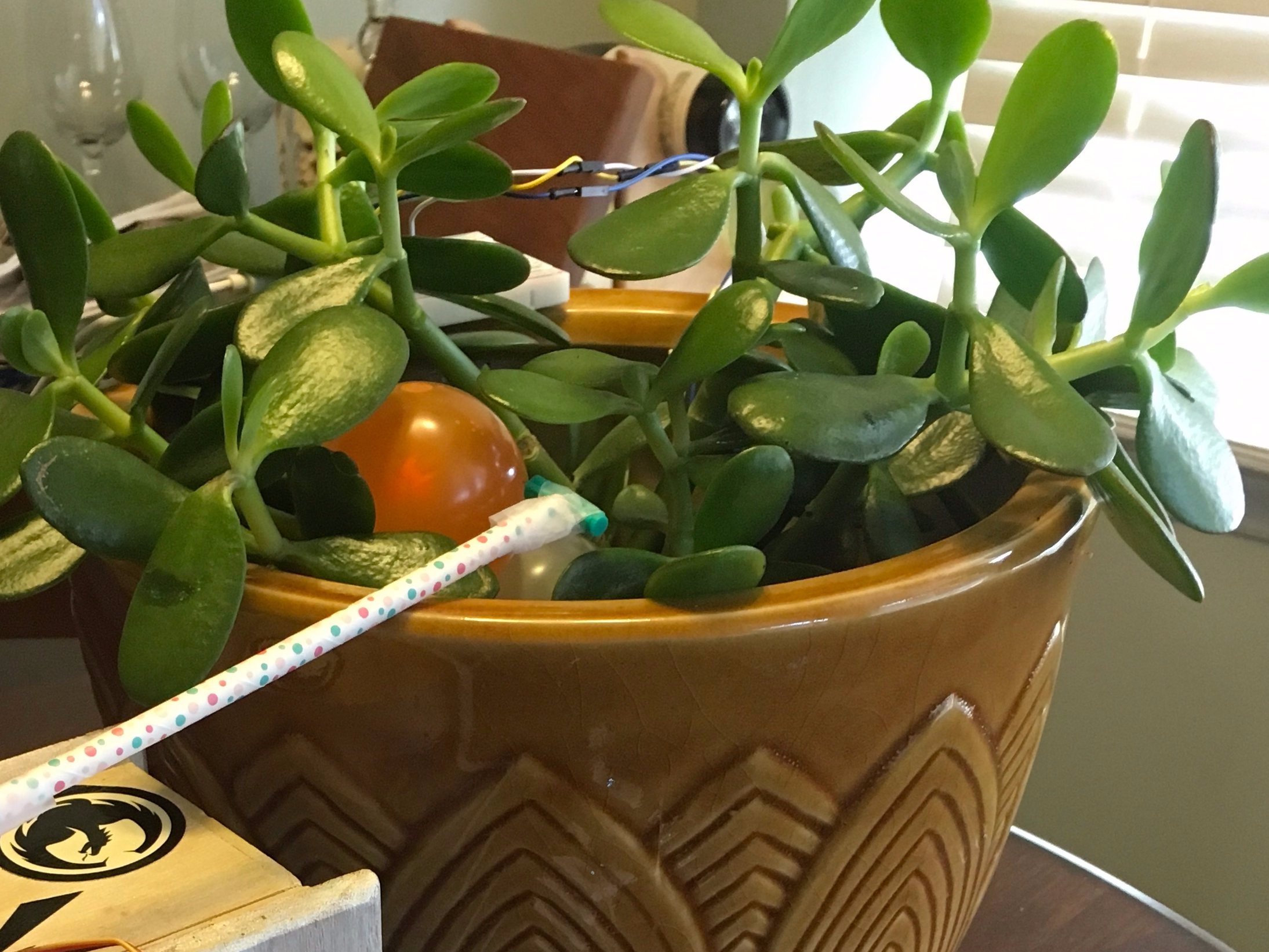 Plant Monitor & WaterBomb - Hackster.io