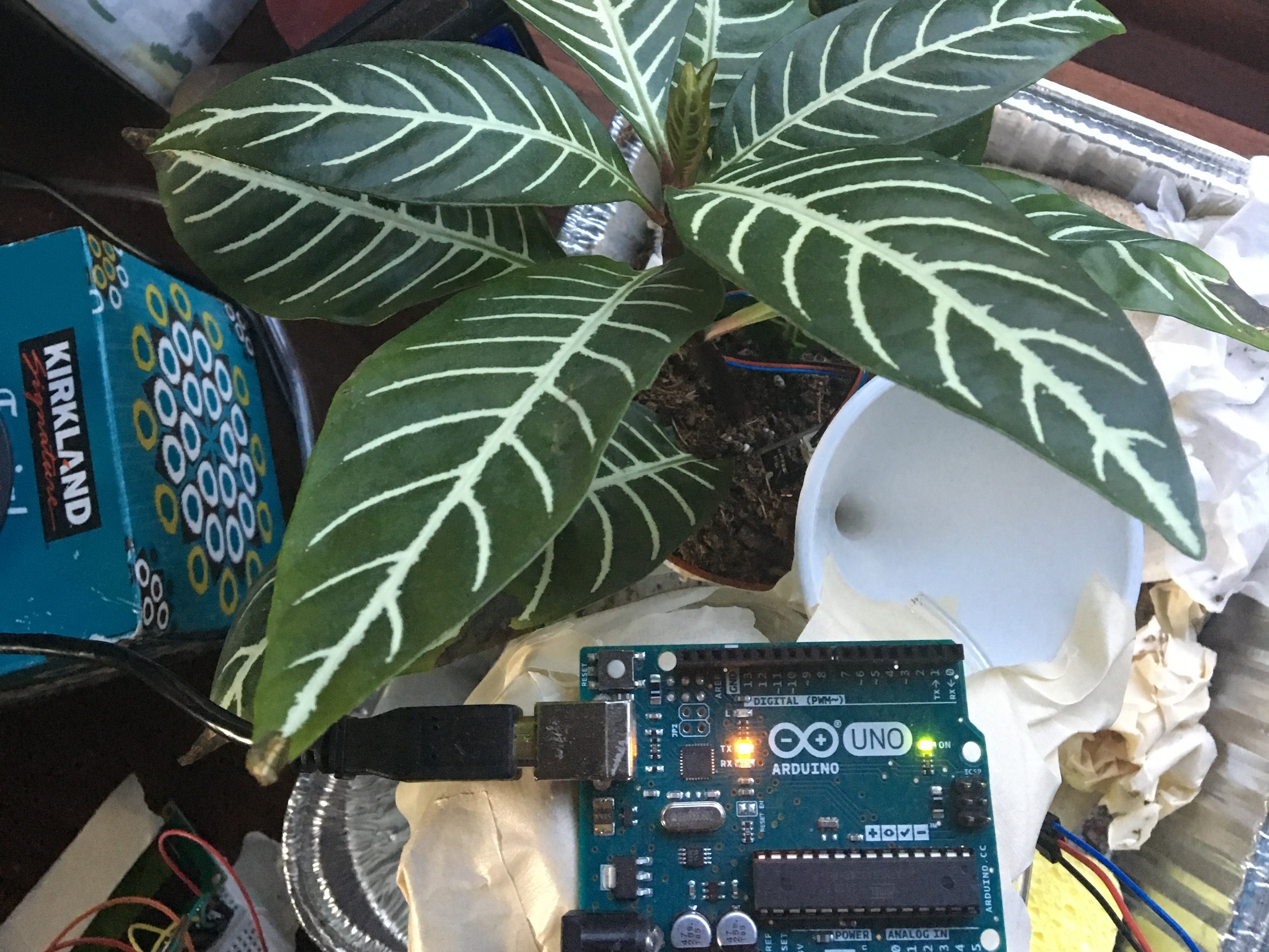 Automated Plant Watering with Voting - Hackster.io