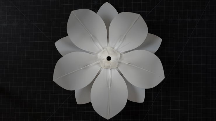 Expression Flower - Hackster.io