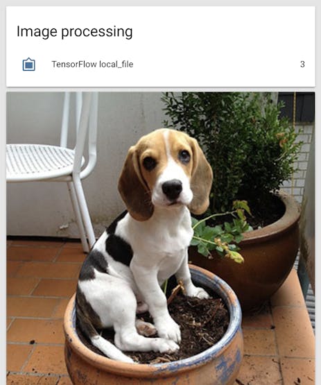 TensorFlow Object Detection with Home-Assistant - Hackster.io