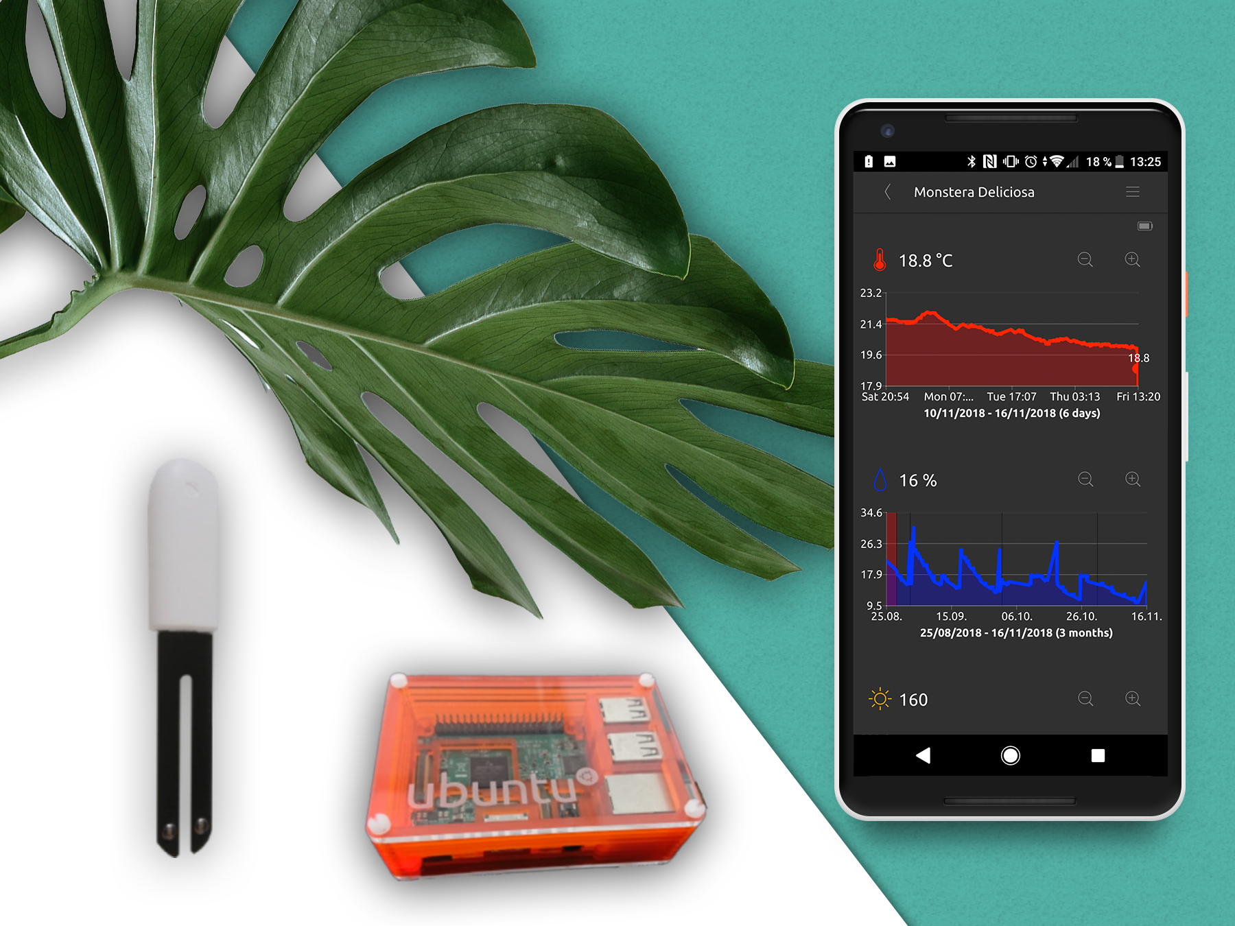 FlowerCare and nymea to Rescue My Plants - Hackster.io